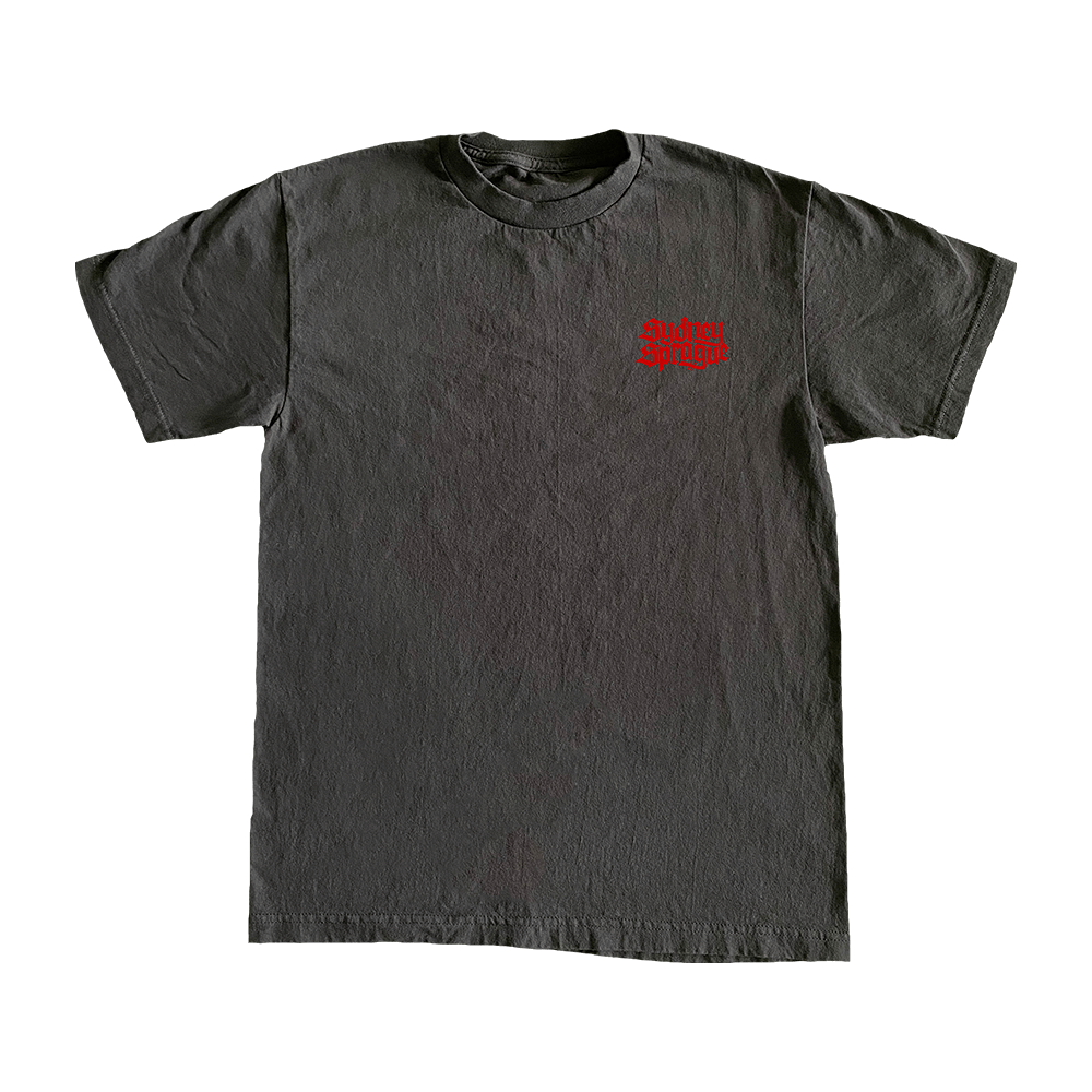 Steve Dark Grey T-Shirt – Rude Records Shop